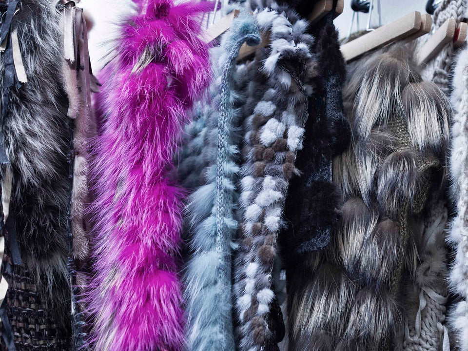 Fur Storage – Maximilian